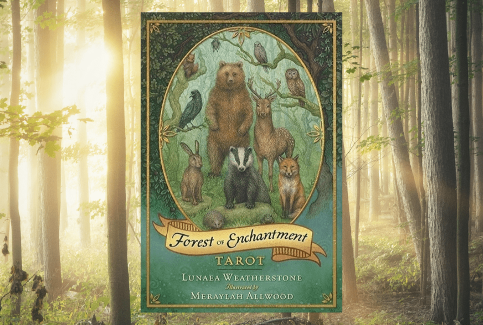 Forest of Enchantment Tarot Deck Review - Tarot Technique